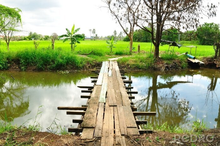 Fotobehang Houten brug naar het rijstveld op maat - redro.nl