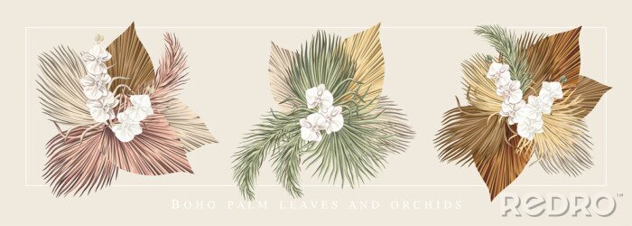 Poster Boho bouquet dried palm leaves orchid flower illustration ...